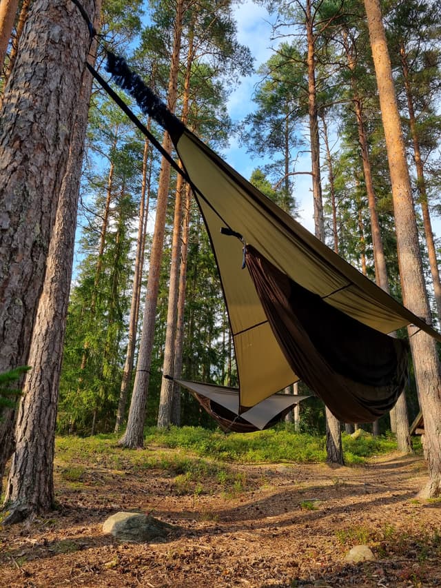 The Hammock Trail: Sweden - Guided Hammock Wild Camping Trip in Sweden